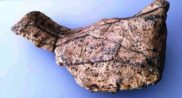 "El alma de las piedras": la colección pétrea de Julio Aponte - RÍO ...